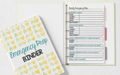Family Emergency Planning Binder – sunnydayfamily